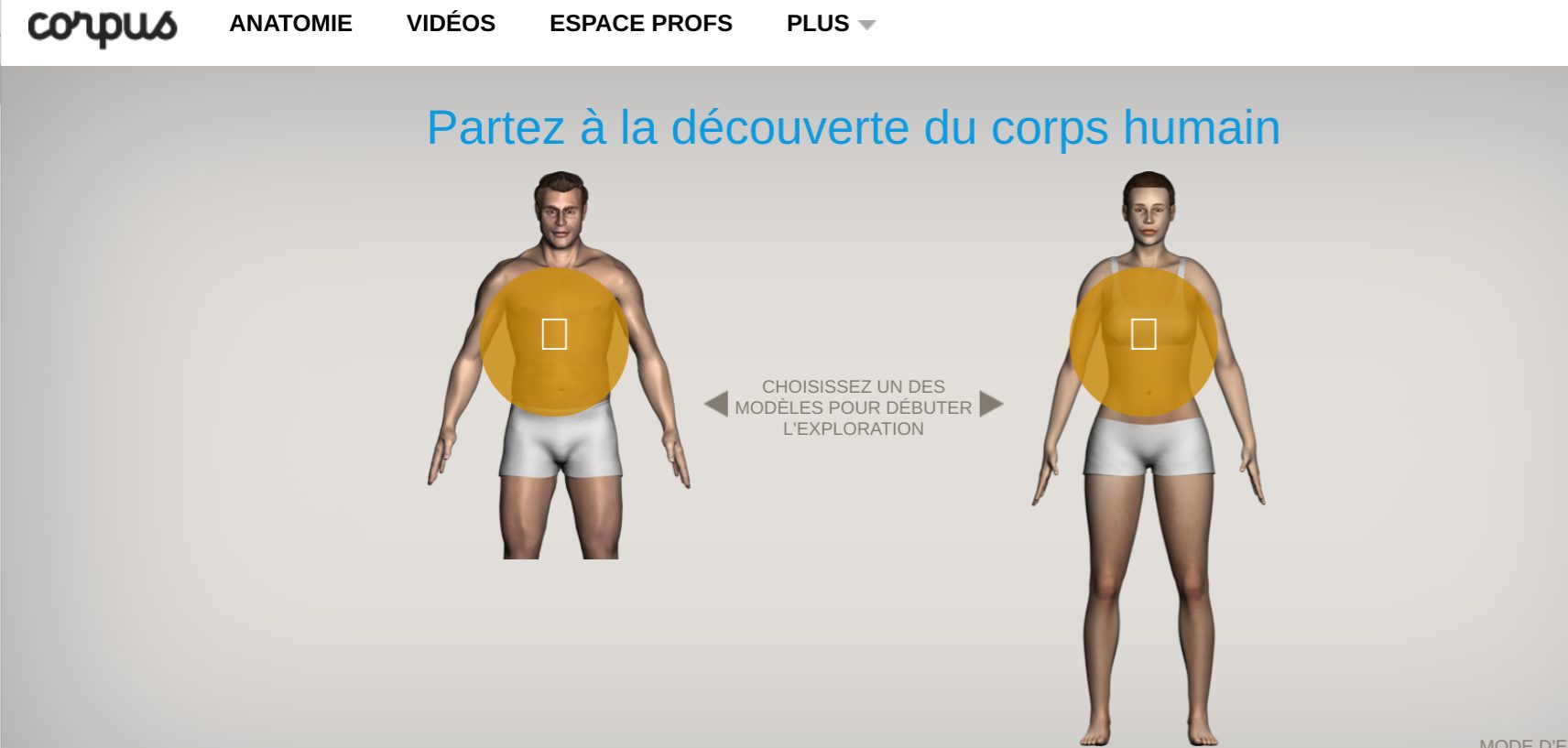 Le corps humain Corpus - Arre